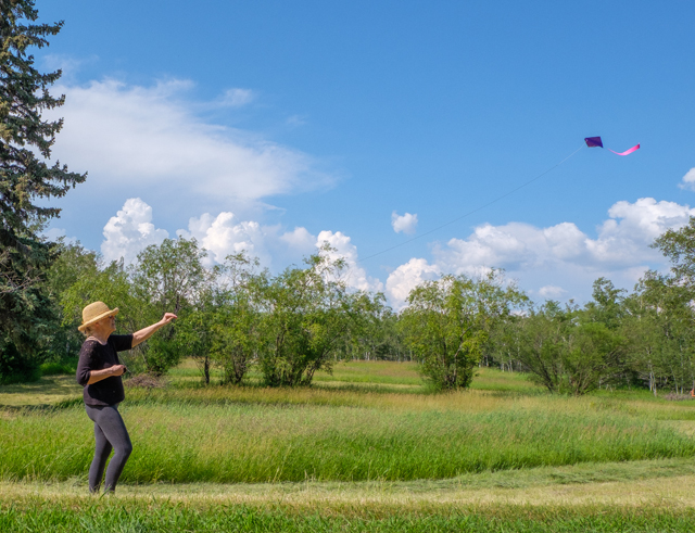 The Tanabata Star Book for 2024 | Byopia Press
